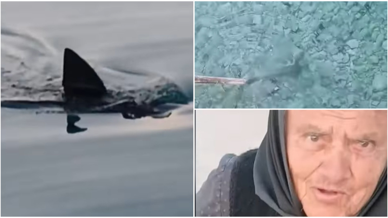 (VIDEO) SNIMAK BAKICE IZ DALMACIJE KOJA LOVI HOBOTNICE POSTAO VIRALAN Ceo region se smeje na ...